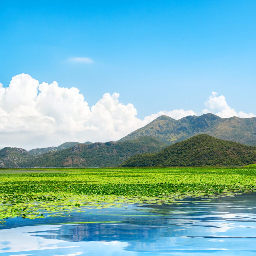 UNESCO Man and Biosphere Programme - SKADAR/SHKODER LAKE WATERSHED